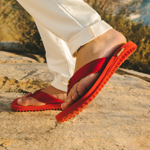 Kenner e João Gomes: Confira a coleção com o Rei do Piseiro!